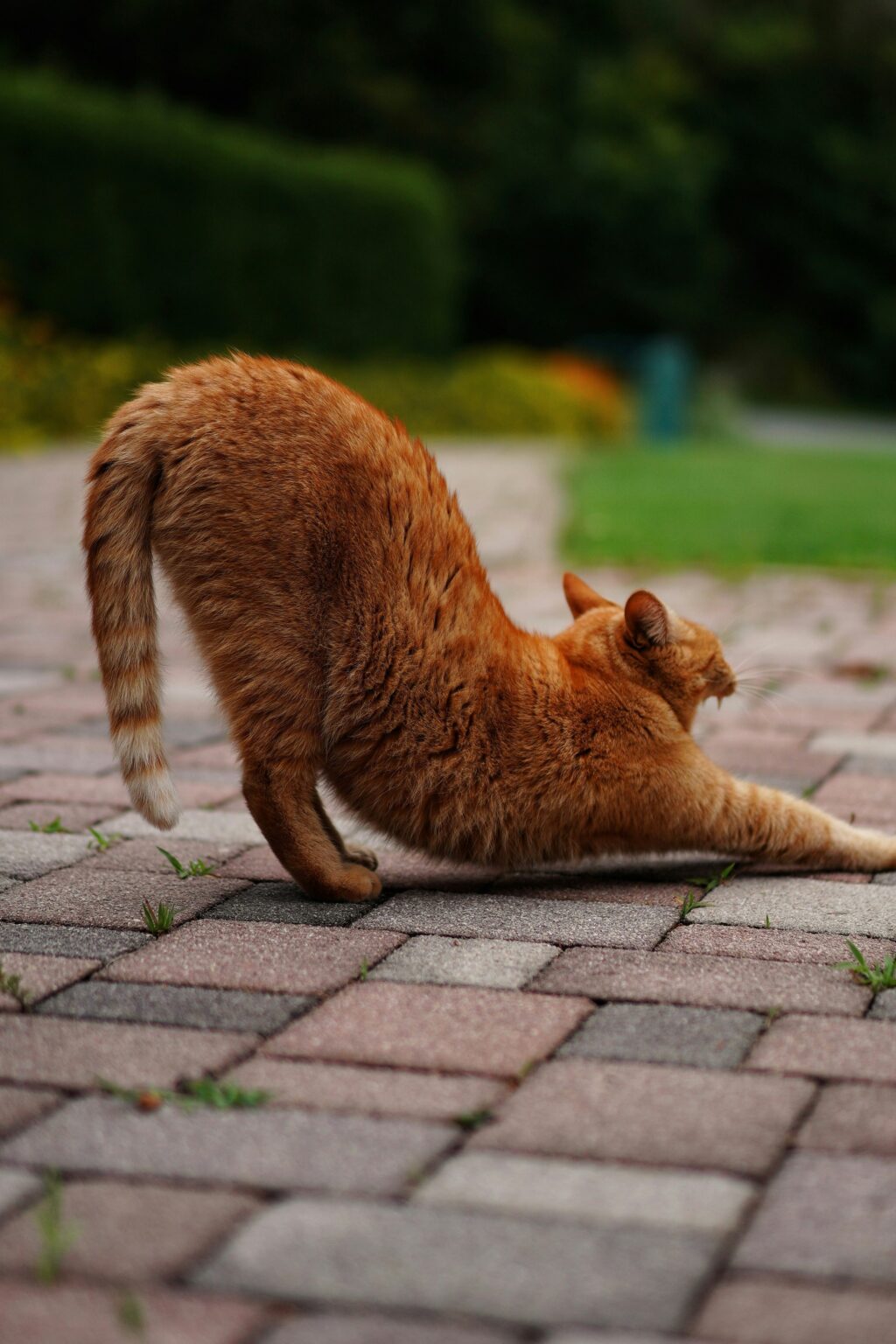 Exercise is essential for people with MS